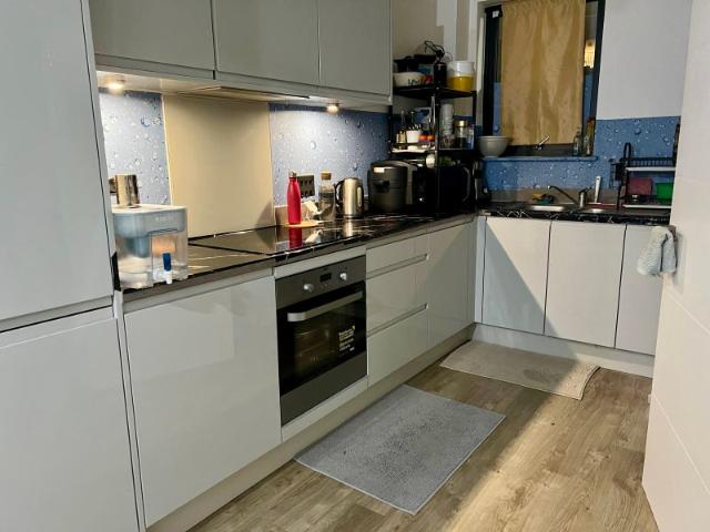 Whole 1 BHK Flat available for rent Park Royal