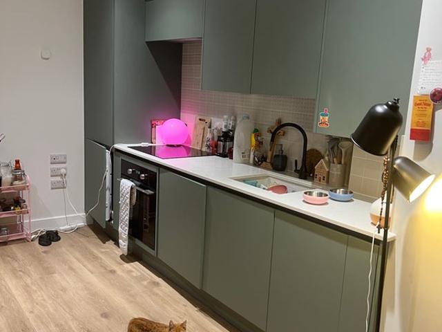 Whole Apartment for Short Term Lease