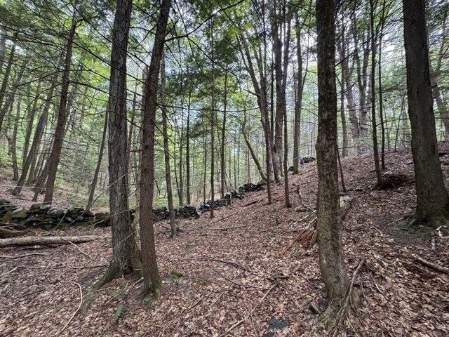 Whately MA 01093 102063772