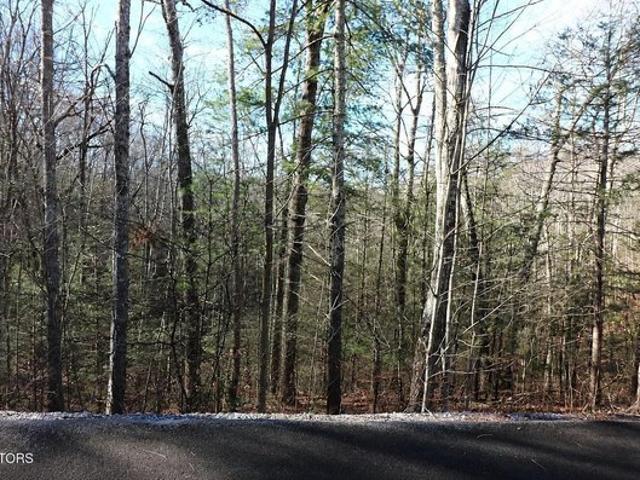 Whetstone Rd, Sevierville, TN 37862