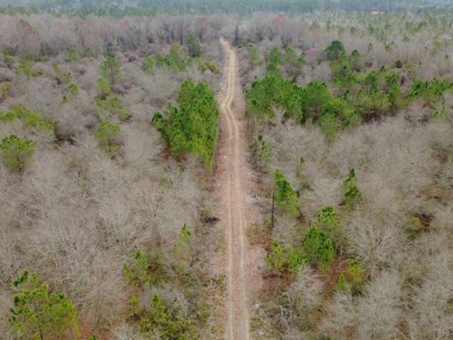 Whitaker, Waycross, GA 31503