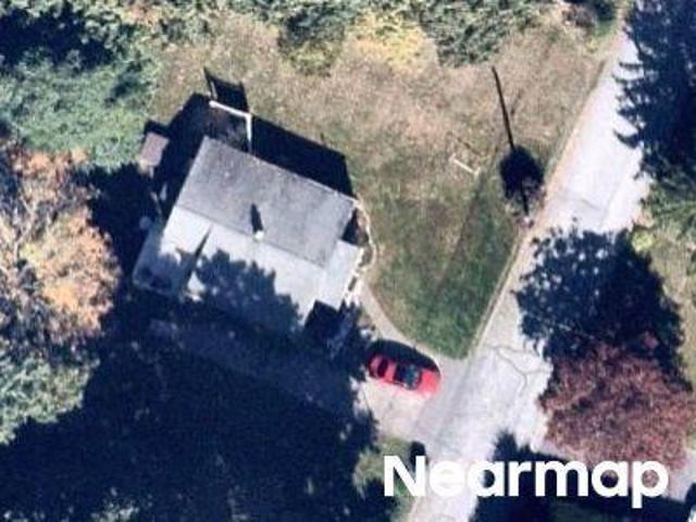 White Birch Ln