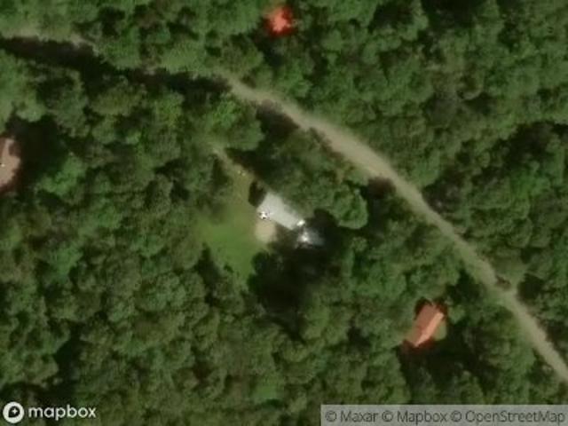 White Birch Ln