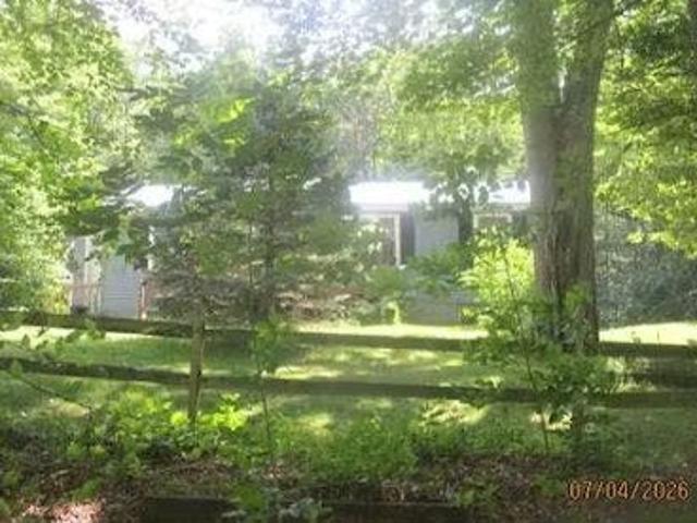 White Birch Ln
