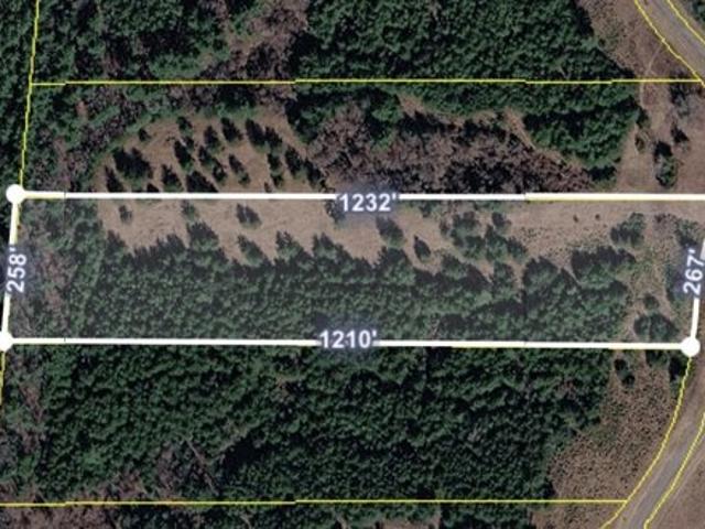 White Creek Dr, Deer Lodge, TN 37726