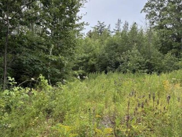 White Deer Cir Lot,bar Harbor, Plot For Sale