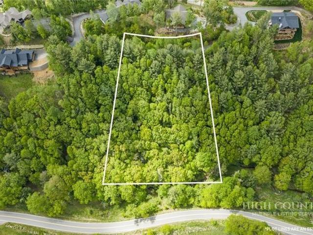 White Fox Ln Lot 38, Banner Elk, NC 28604