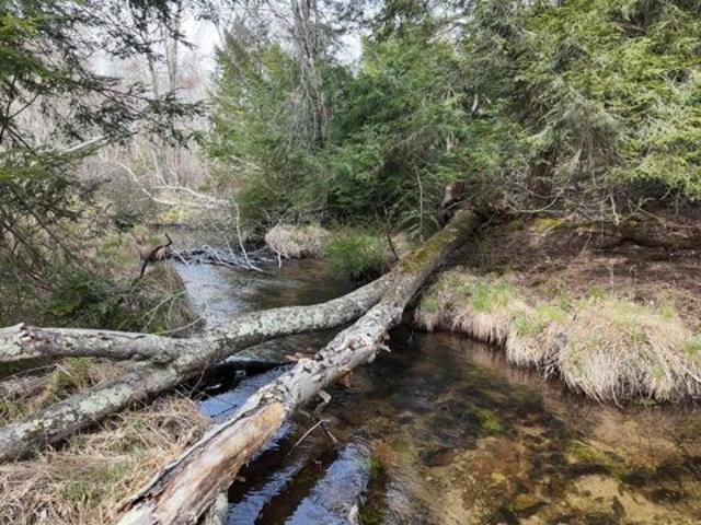 White Haven Rd Lot A, White Haven, Plot For Sale