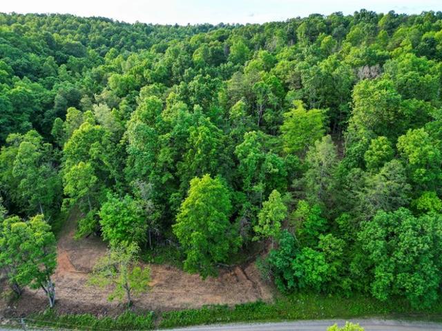 White Hollow Rd Lot 60AC, Patriot, OH 45658