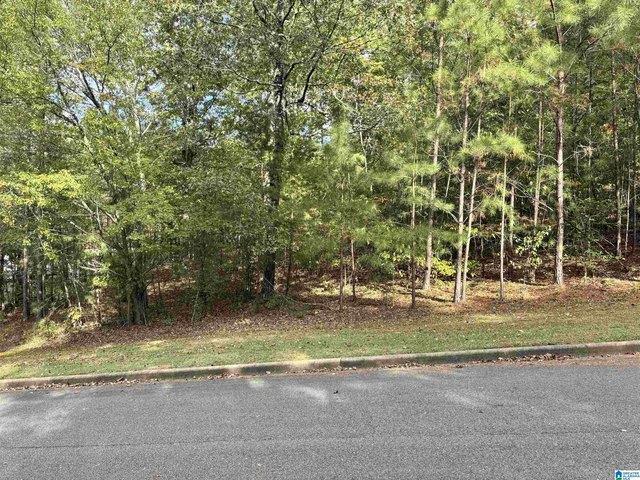 White Oak Cir Lot 9, Dora, AL 35062