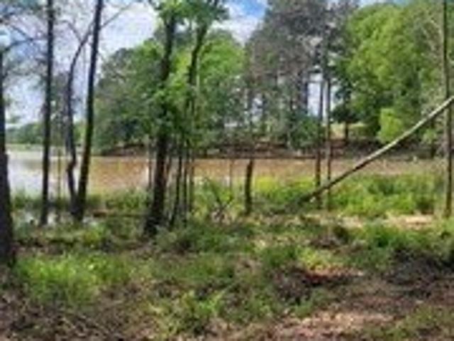 White Oak Creek Rnch Lot 54, Big Sandy, TX 75755