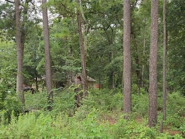 White Oak Dr Lot 38, Plantersville, TX 77363