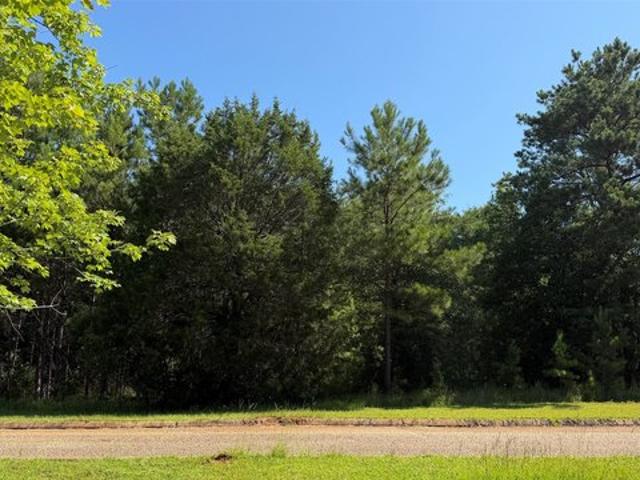 White Oak Way, Greenville, AL 36037