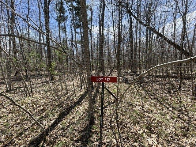 White Oak Trl, Hayward, WI 54843