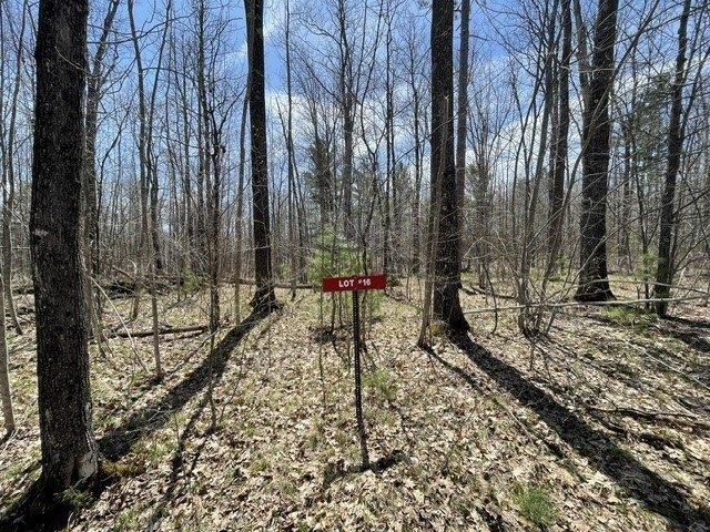 White Oak Trl, Hayward, WI 54843