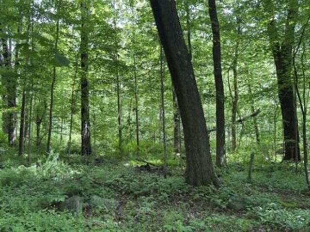 White Oak Trl, Winchester, Plot For Sale