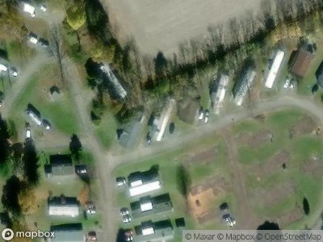White Pine Ln