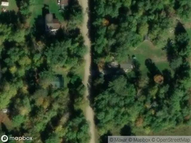 White Pine Ln