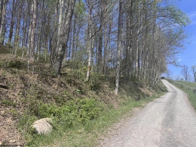 White Rd Lot 1, Moatsville, WV 26405