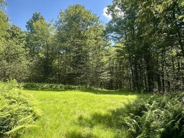 White Rock Dr, Forest City, PA 18421