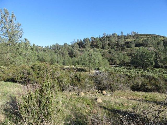 White Rock Rd, Mountain Ranch, CA 95246