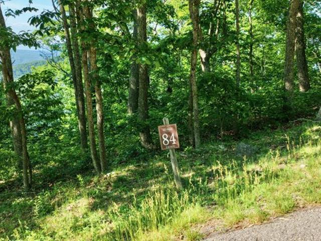 White Rock Trl Lot 84, Caldwell, WV 24925