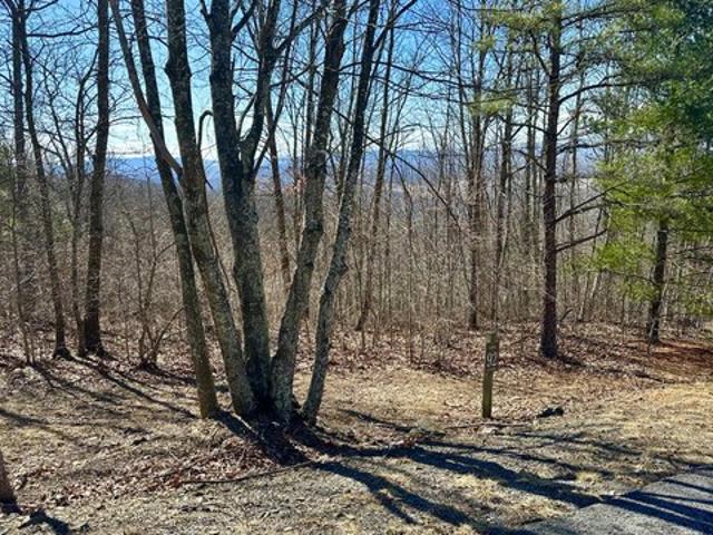 White Rock Trl Lot 92, Caldwell, WV 24925