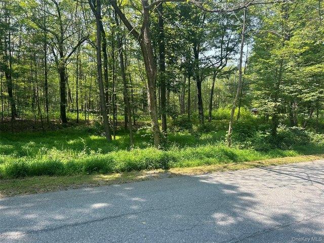 White Schoolhouse Rd, Rhinebeck, NY 12572