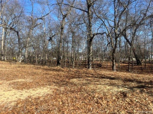 White Sands Dr, Caseville, MI 48755
