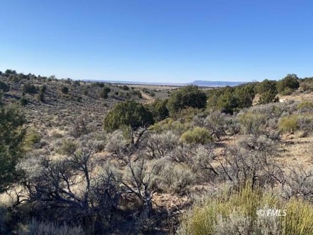 White Sage Flt, Fredonia, AZ 86022