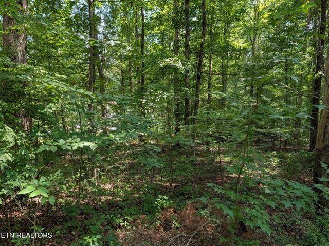 White St Unit 31, Rockwood, TN 37854