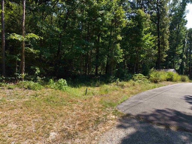 White St, Clinton, AR 72031