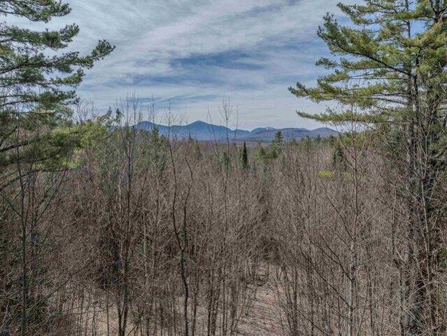 Whitefield NH 03598 102283163