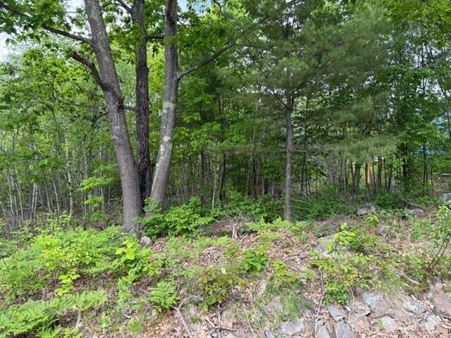 Whitefield Rd, Pittston, Plot For Sale