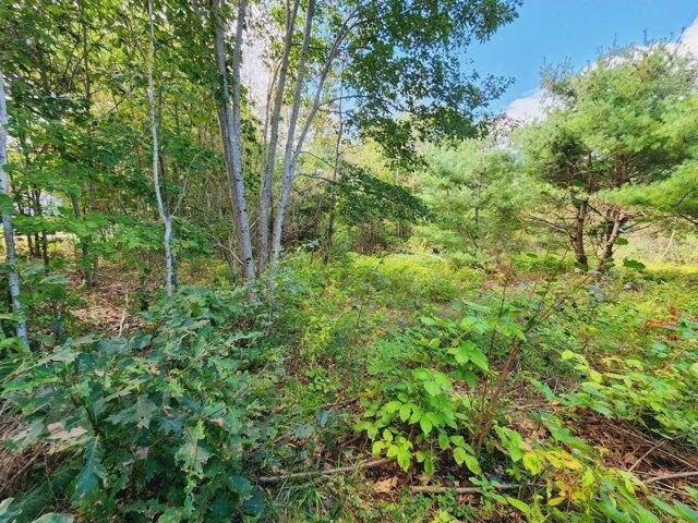 Whitefield Rd, Pittston, Plot For Sale