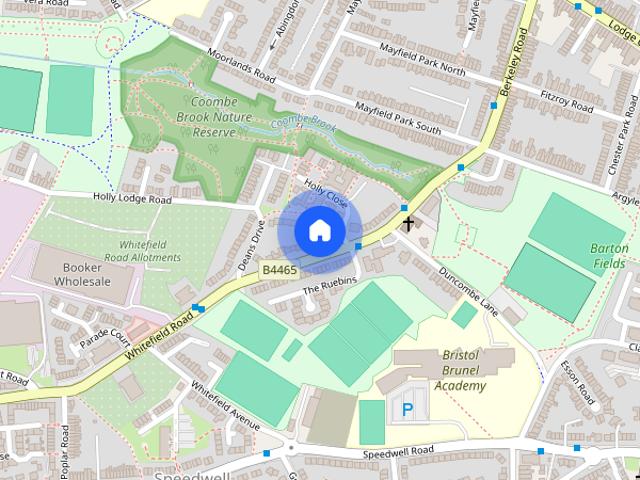 Whitefield Road Speedwell