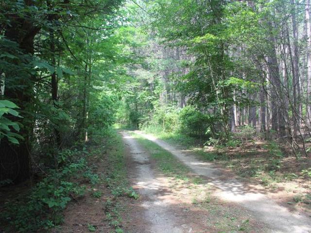 Whitefish Trl, Kewadin, MI 49648