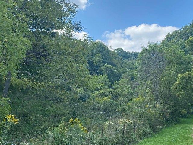 Whitehall Rd Lot 13 18, Bluefield, VA 24605