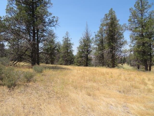 Whitepine St Lot 630, Hornbrook, CA 96044