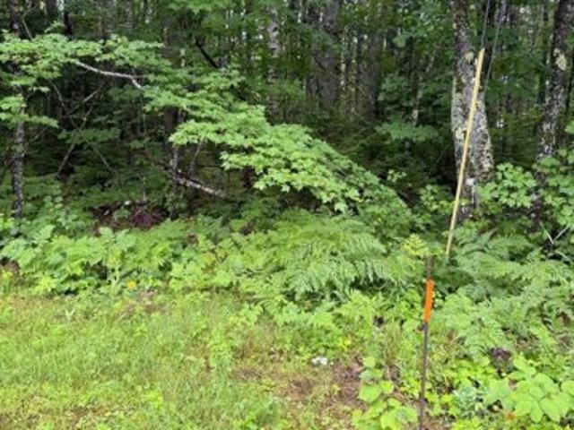 Whites Ln Lot B And Marquis Dr, Chesterville, Plot For Sale