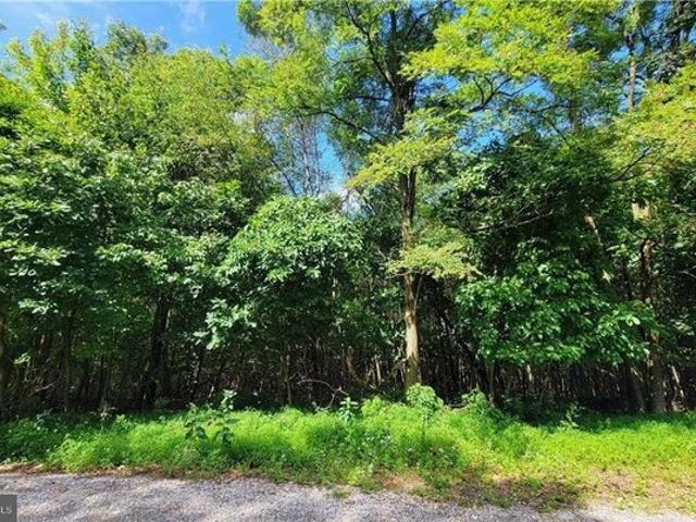 Whitetail Crossing Rd, Tamaqua, PA 18252