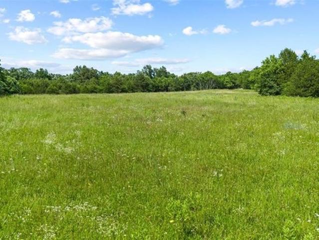 Whitetail Ln, Barnett, MO 65011