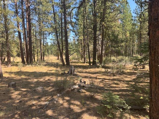 Whitetail LN # Lot 3
