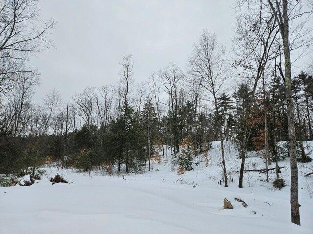 Whitetail Way Lot, Amherst, Plot For Sale