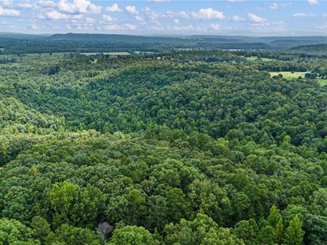 Whitetail Trl Lot 37, Dover, AR 72837
