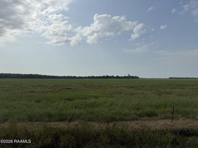 Whiteville Rd Tract # 10, Ville Platte, LA 70586