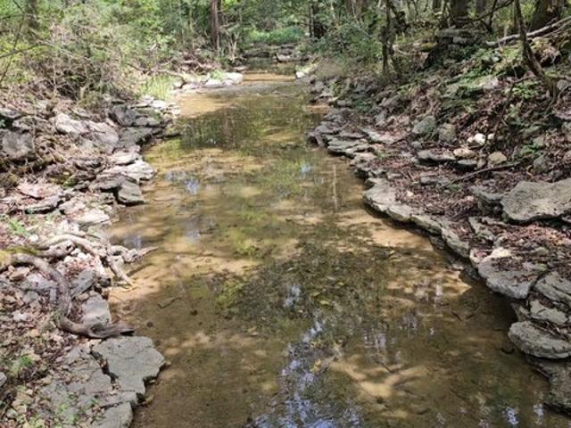 Whitfield Hollow Rd, Readyville, TN 37149