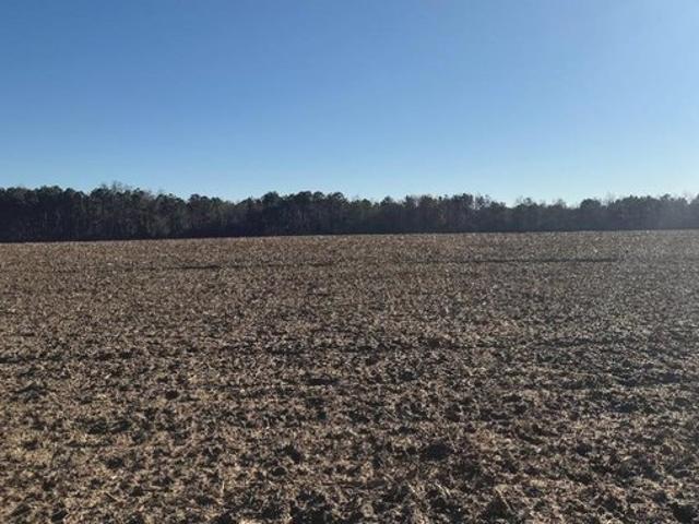 Whitfield Rd, Elko, GA 31025
