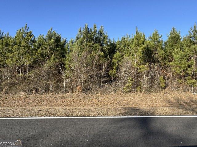 Whitfield Rd Lot 7, Elko, GA 31025