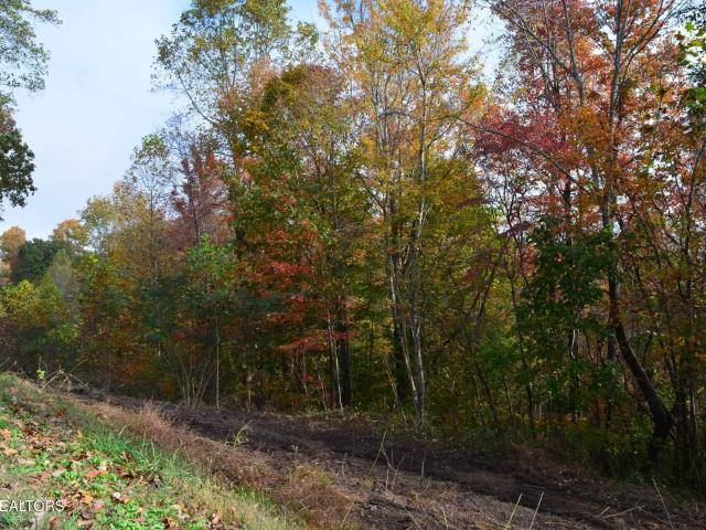 Whitman Hollow Rd, LaFollette, TN 37766